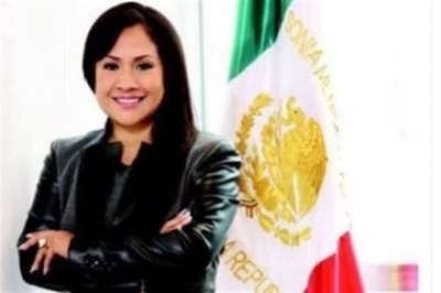 Senadora panista exhibe foto de la bandera de México con su nombre ...